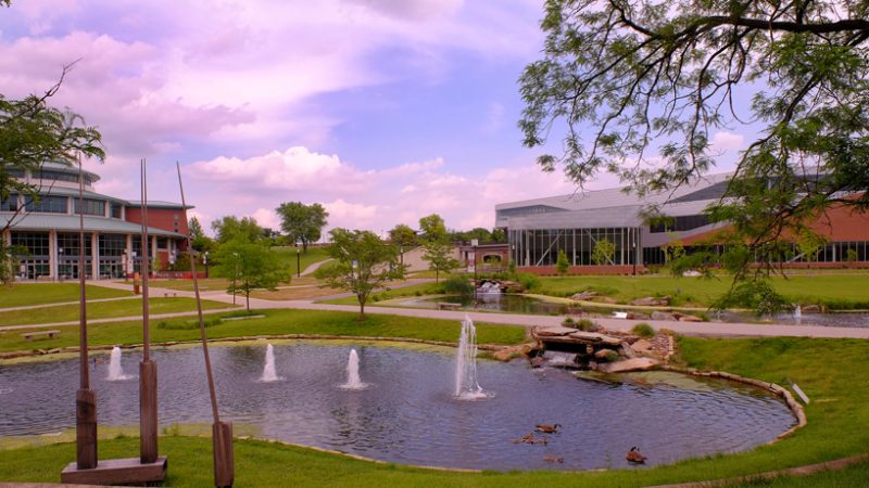Campus Beauty Archives Umsl Daily Umsl Daily