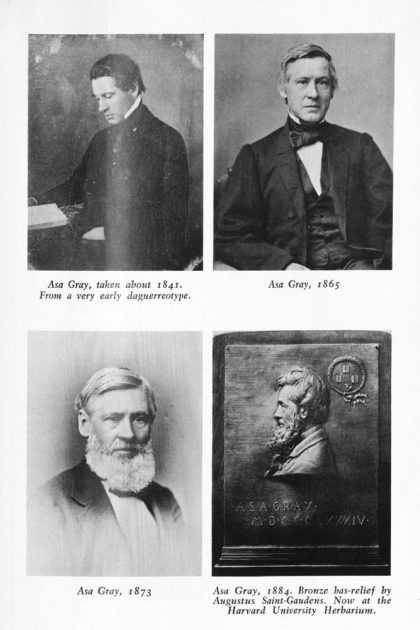 American Society of Plant Taxonomists honors botanist Peter Stevens ...