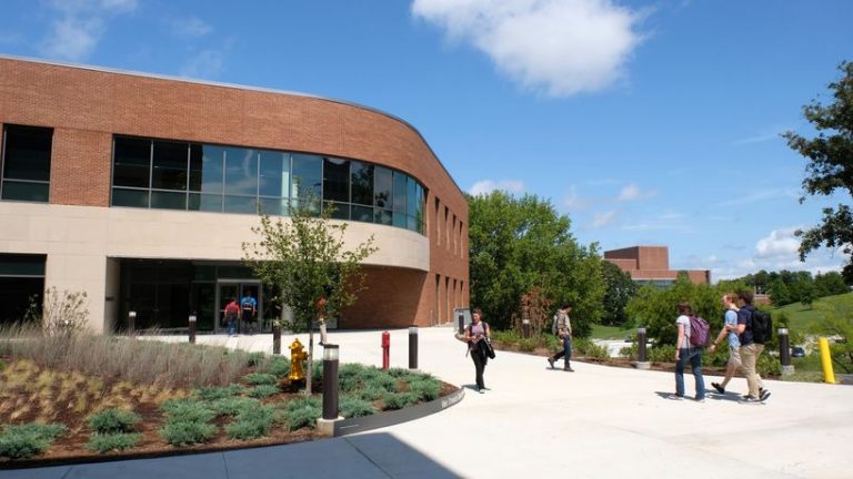 UMSL chapter of accounting honor society Beta Alpha Psi maintains Gold standard - UMSL Daily