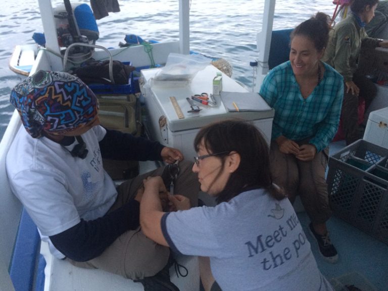 Saint Louis Zoo wins WAZA Conservation Award for its longtime collaboration with UMSL in ...