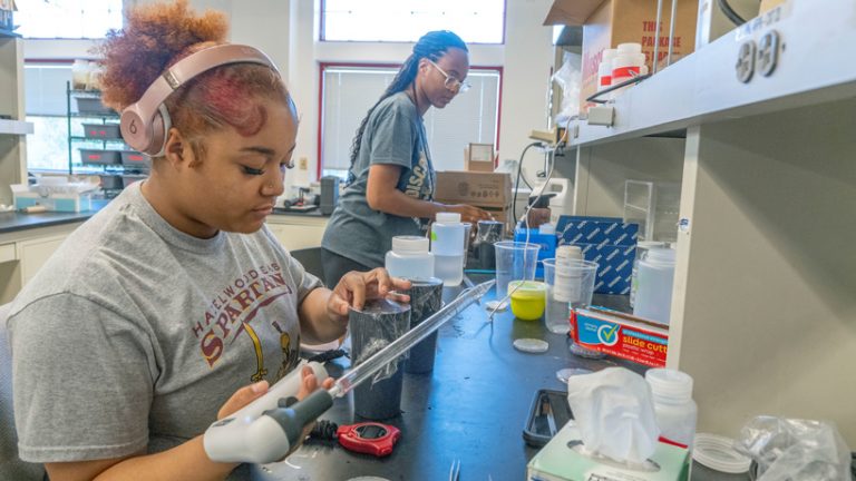 CLIMB program celebrates 10th class of summer interns - UMSL Daily