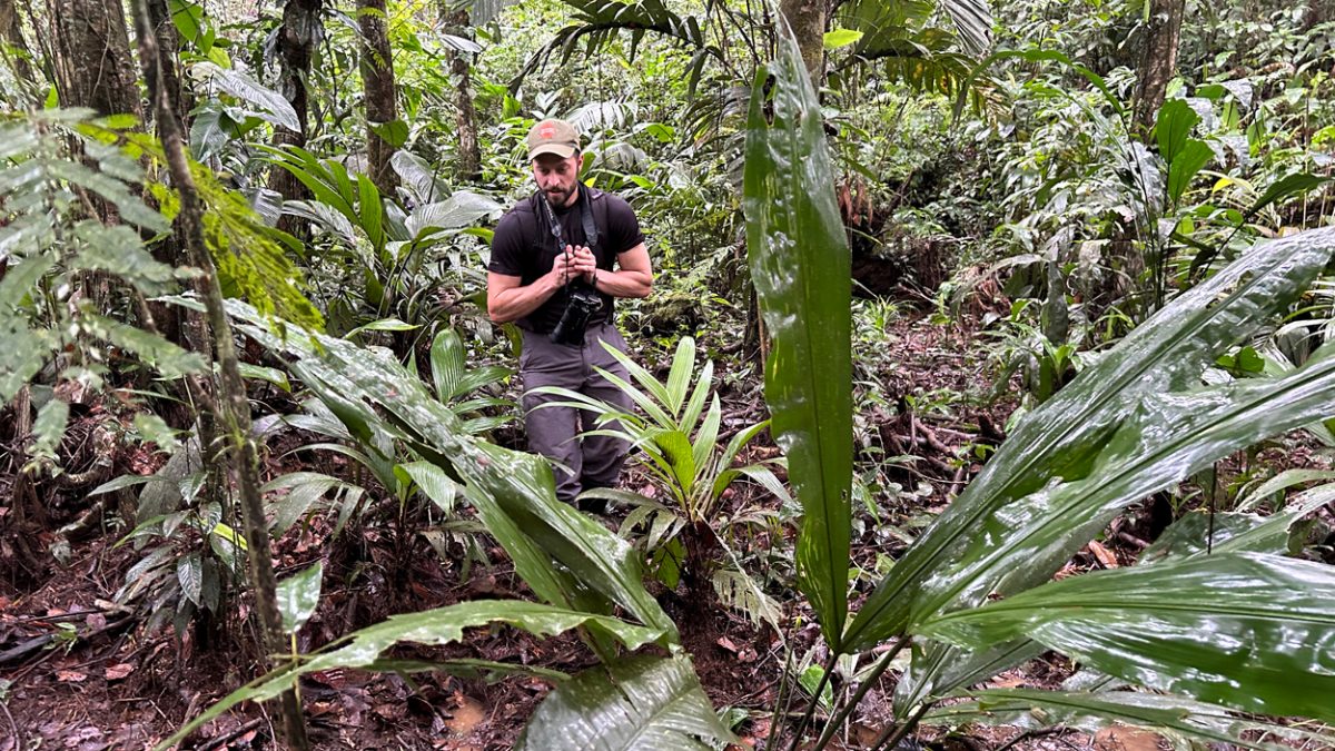Biology PhD alum Eliot Miller taps into new data sources to study bird ...