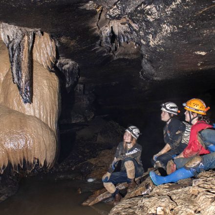 New Louie logo for UMSL Athletics revealed at pep rally before Pack the ...
