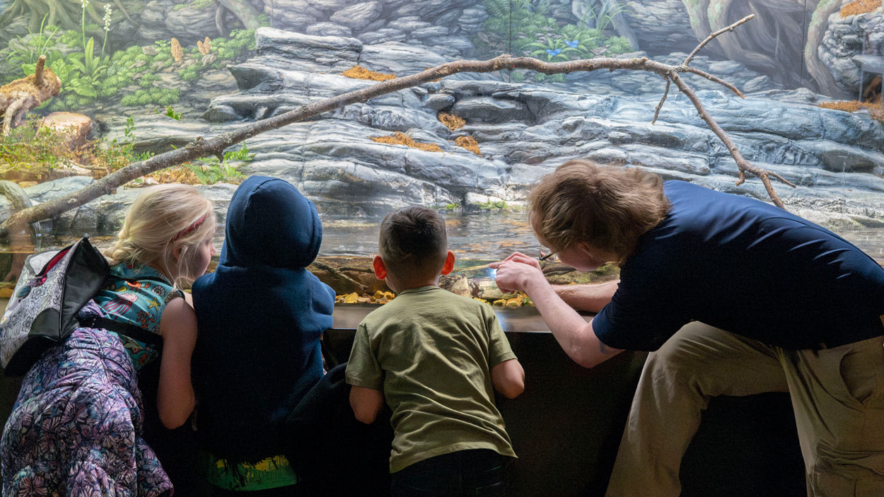 Biology alum Chris Hollingsworth contributing to Saint Louis Zoo’s ...