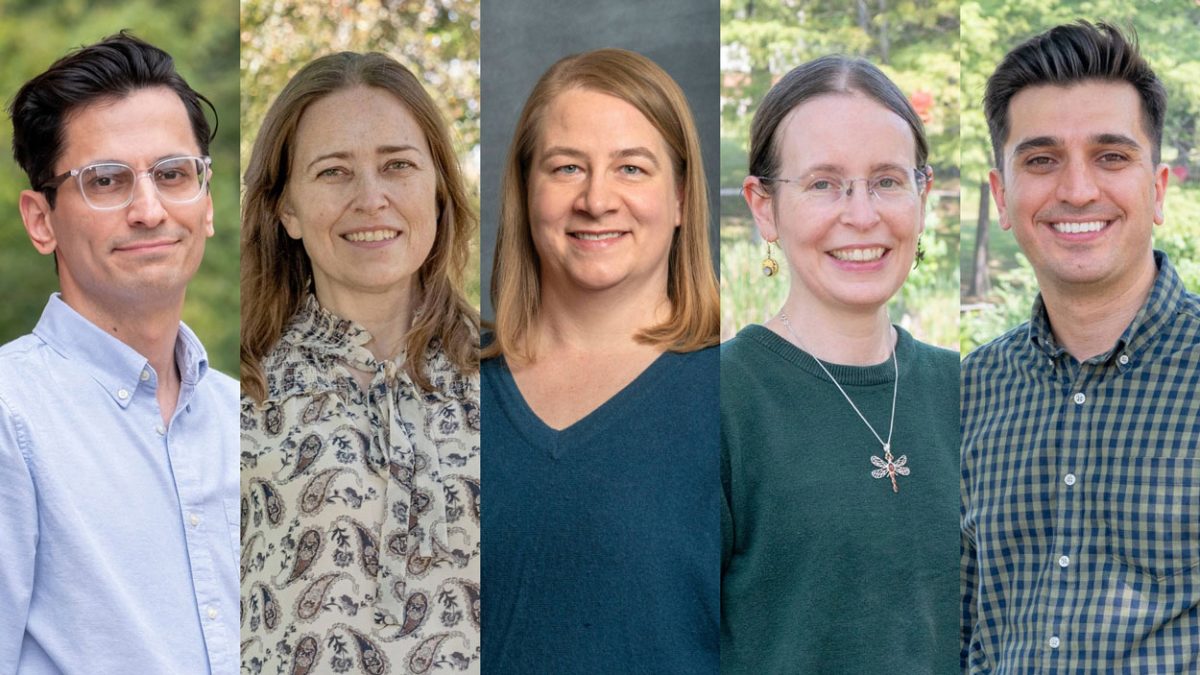 Faculty in computer science, biology and physics receive prestigious NSF research funding - UMSL ...