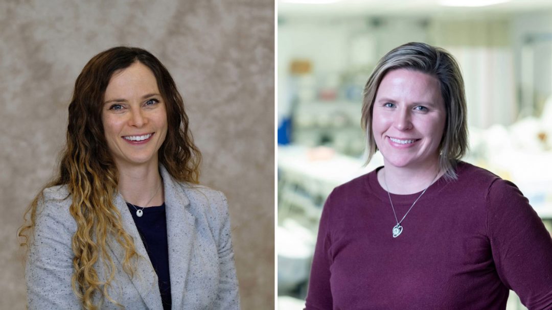 Faculty members Rachel Wamser and Kim Werner contribute chapters to book on cognitive processing ...