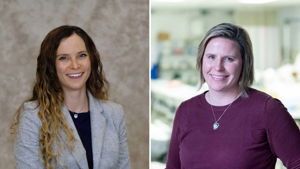 Faculty members Rachel Wamser and Kim Werner contribute chapters to ...