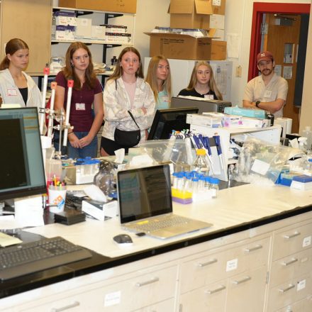 UMSL recognized as leader supporting social mobility in latest US News ...